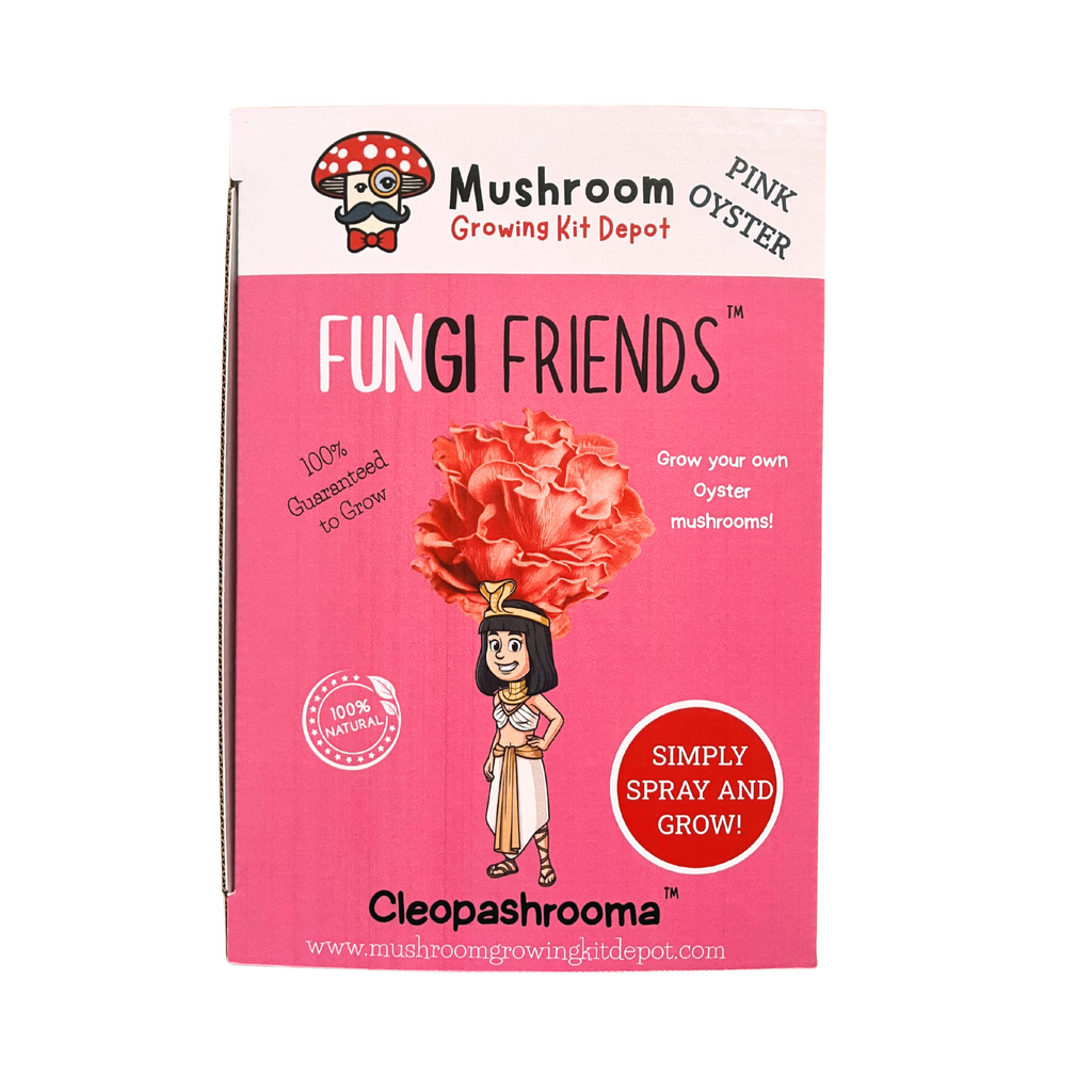 Cleopashrooma - Pink Oyster Mushroom Grow Kit - 5 LBS (with box)