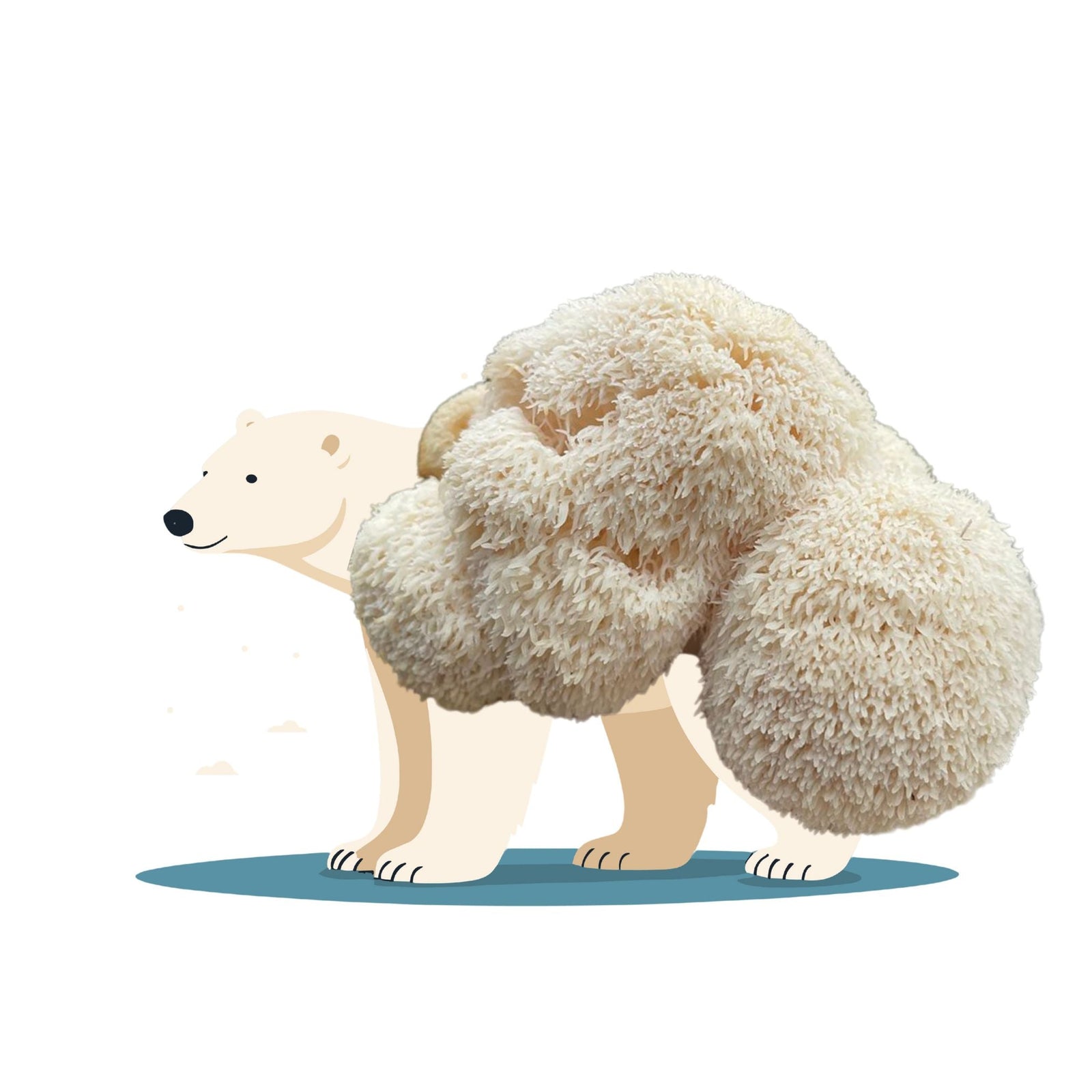 Accueil Tous les produits Eskimush Bear - Lion's Mane Mushroom ...