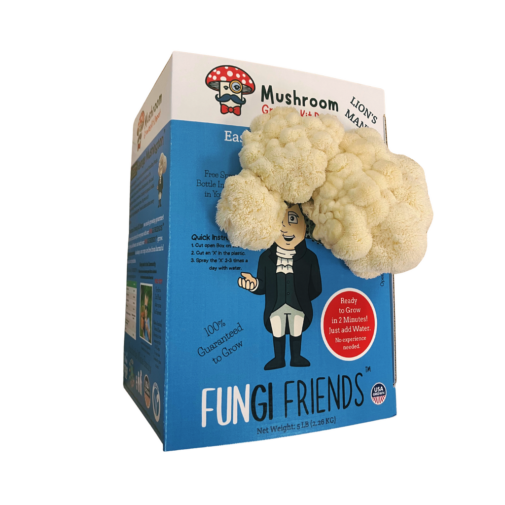 George Mushington - Lion's Mane Mushroom Grow Kit - 5 LBS (with box)