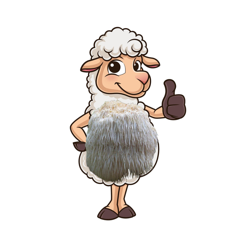 Lil Musheep - Lion's Mane Mushroom Grow Kit - 6.5 LBS