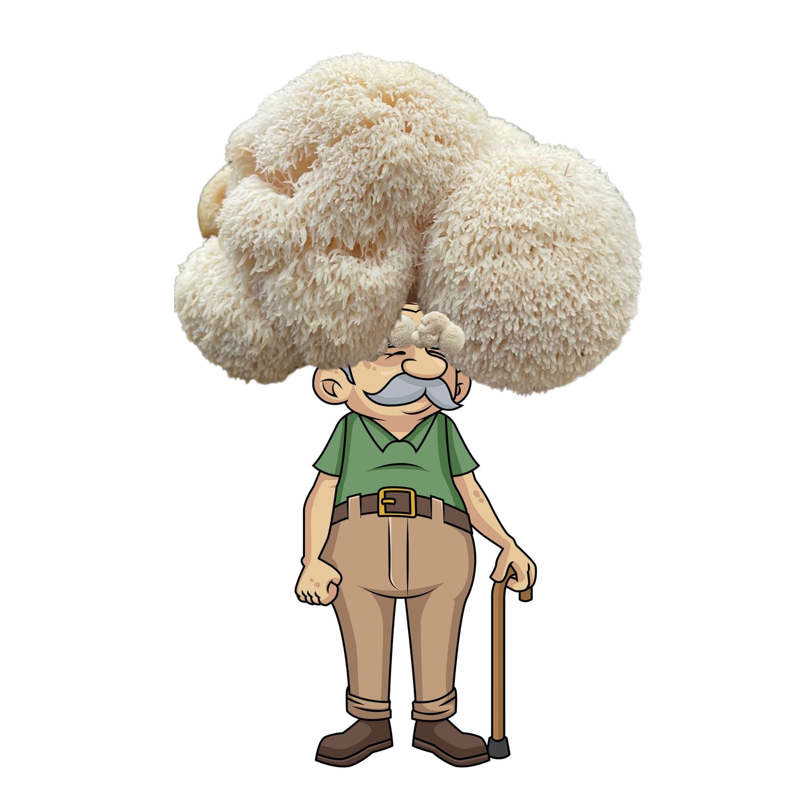 Accueil Tous les produits Mr. Mushingham - Lion's Mane Mushroom...
