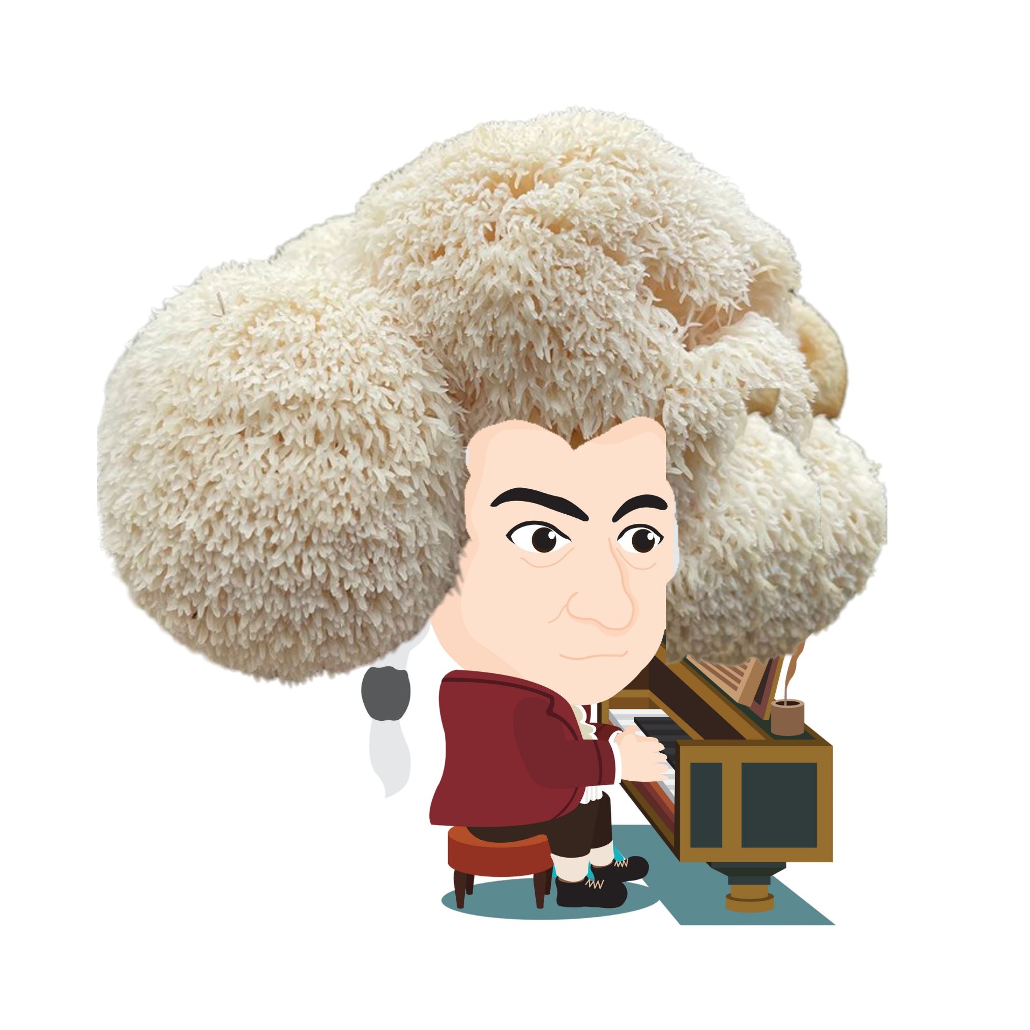 Muzhart_The_Composter_Lions_Mane_Mushroom_Growing_Kit_5LBS_Fungi ...