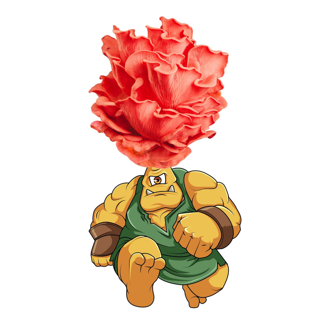 Passez votre souris pour zoomer Cliquez sur l'image pour zoomer