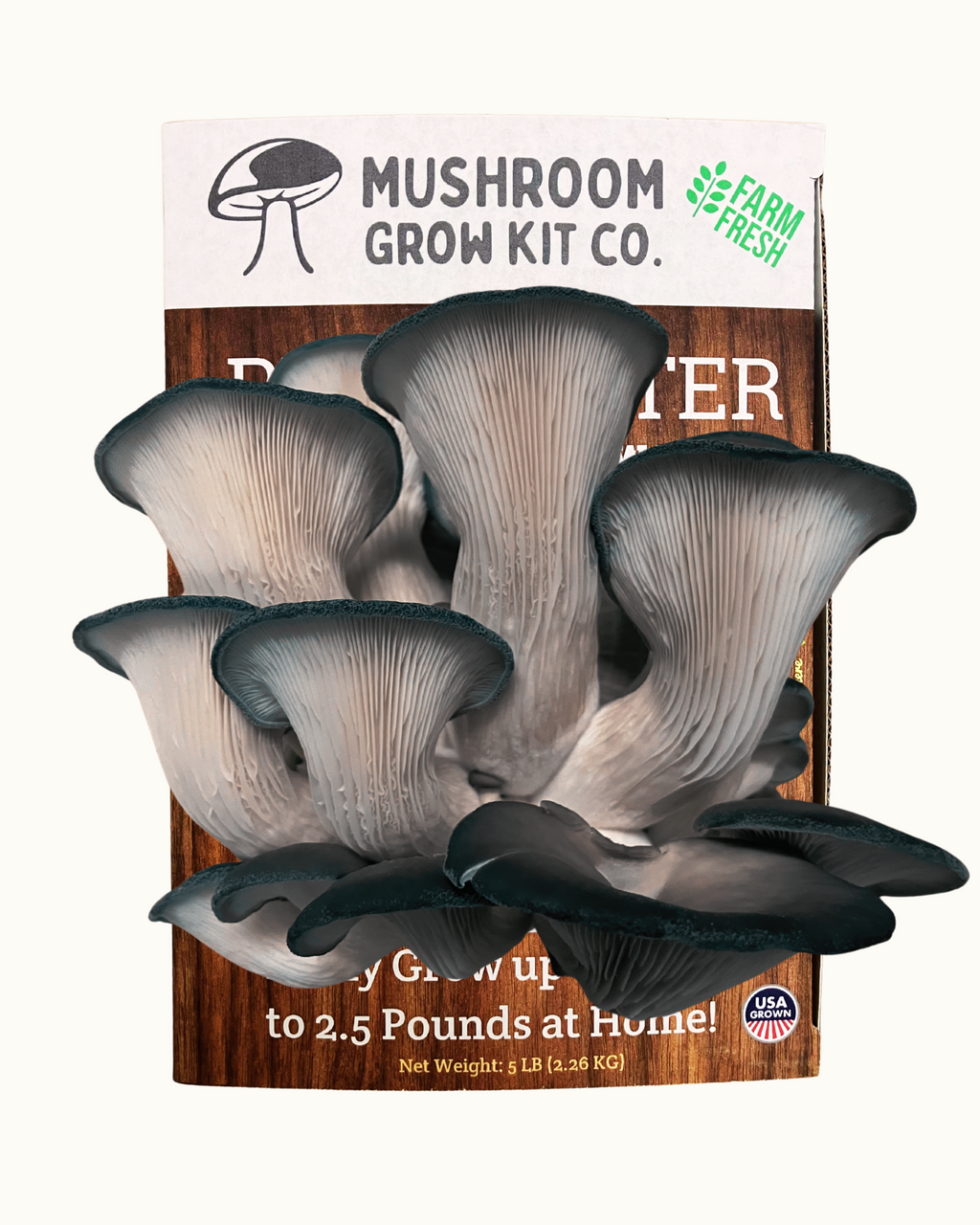 3 Pack - Premium Lion's Mane, Pink, and Blue Oyster Mushroom Growing ...