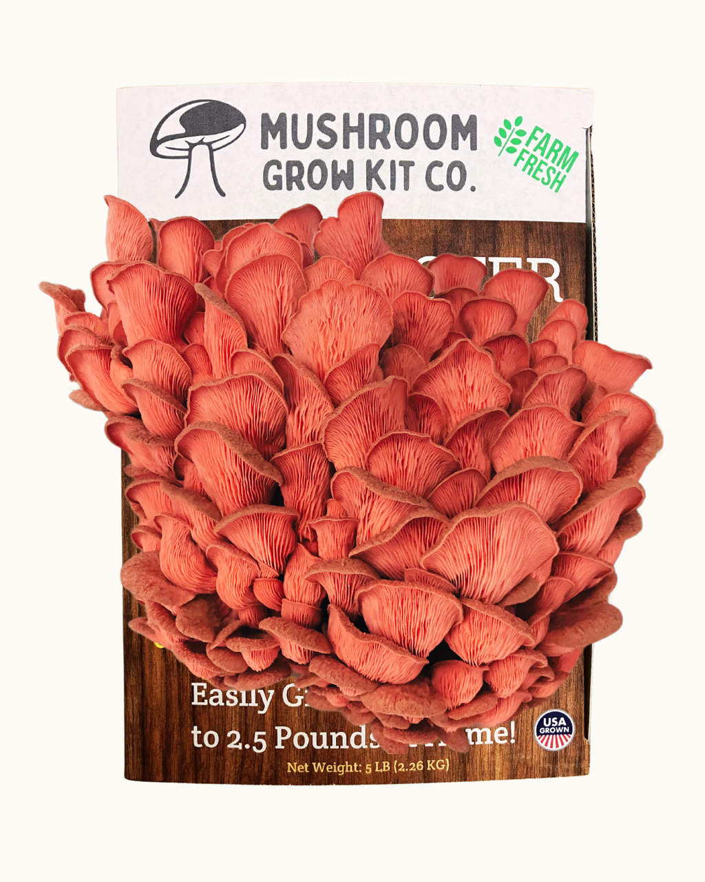 3 Pack - Premium Lion's Mane, Pink, and Blue Oyster Mushroom Growing ...