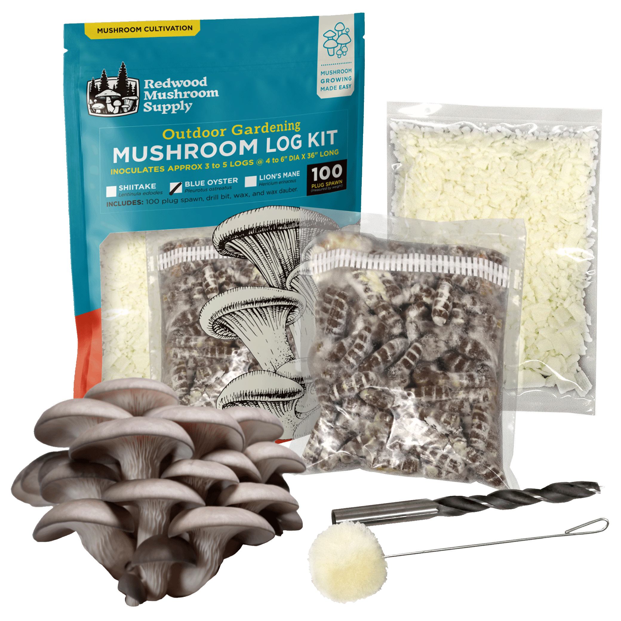 RMS_logkit-BlueOyster_1.png?v=1768587224
